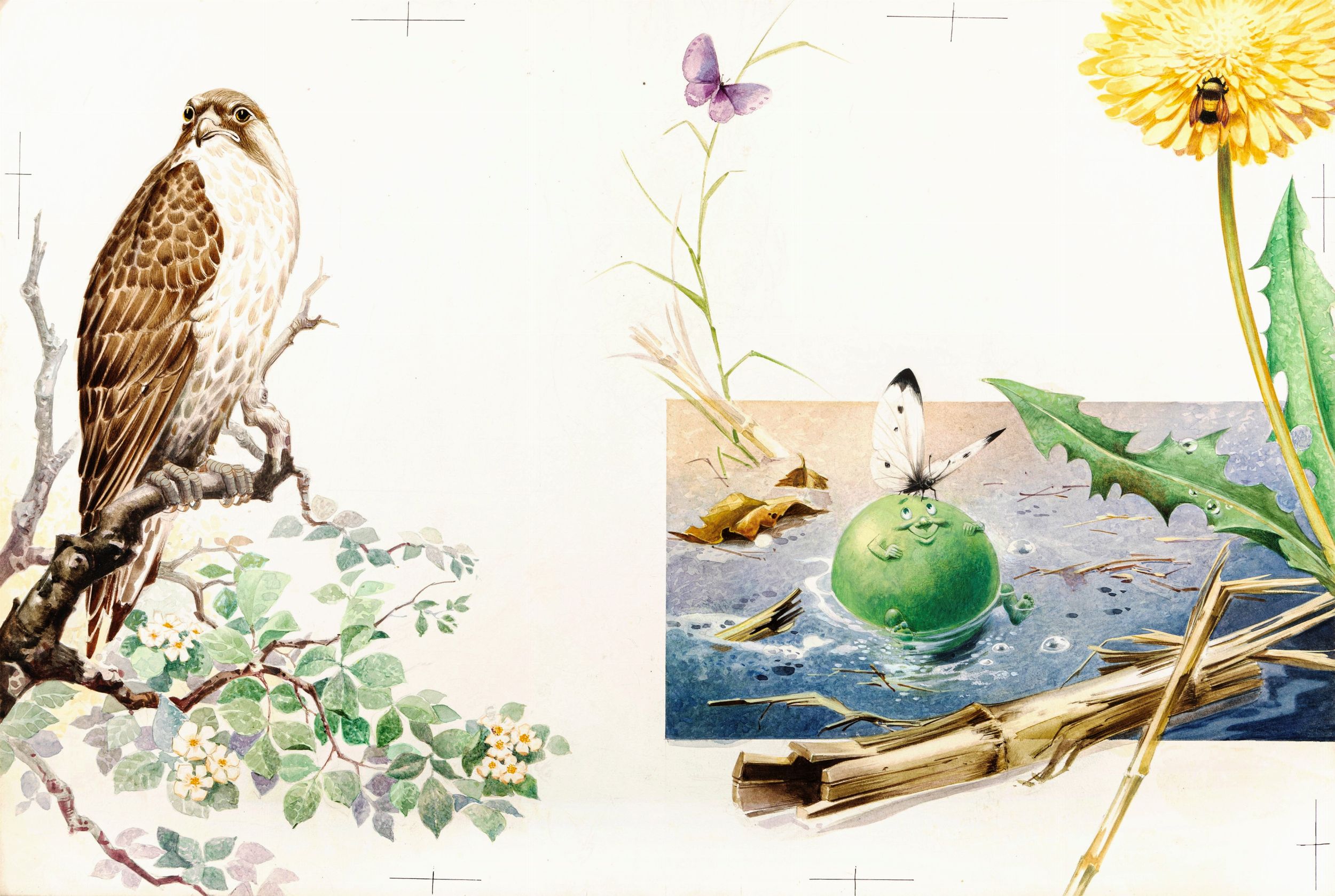 Michele (Angelo Bioletto) : Cinque in un baccello - Asta Fairy Tales / Illustrazioni Originali ...